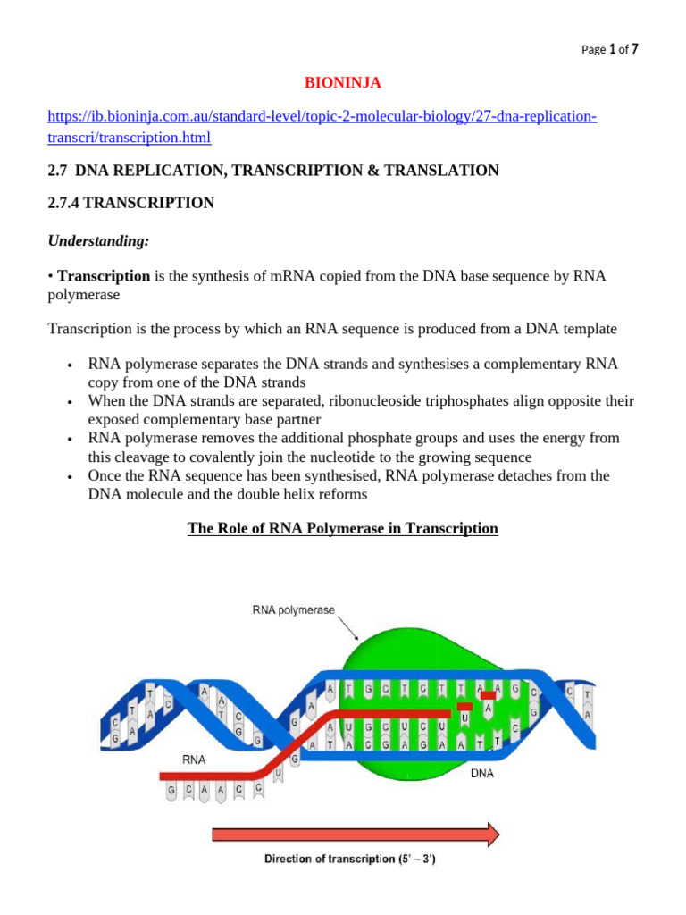 (BEST) BIONINJA rDNA TECHNOLOGY | PDF