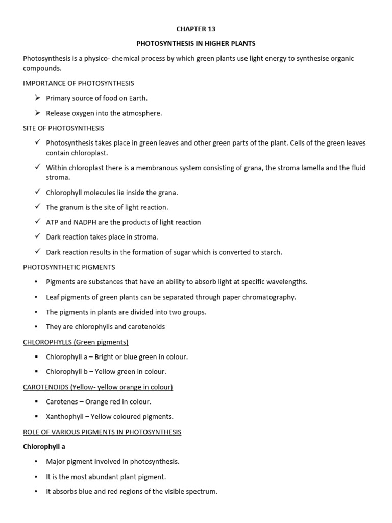 PHOTOSYNTHESIS | PDF