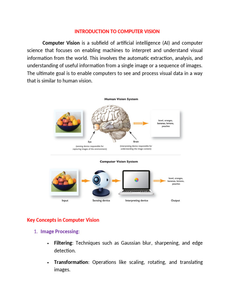Introduction To Computer Vision | PDF