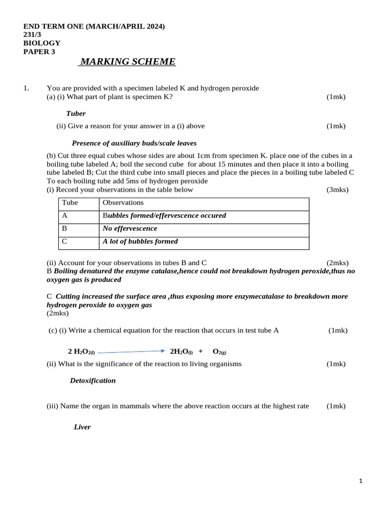 Biology F4 P3 MS | PDF