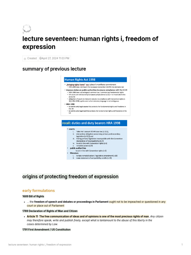 Human Rights: Freedom of Expression | PDF | Defamation | Freedom Of Speech