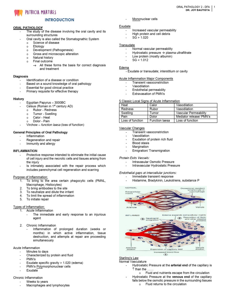 Oral Pathology 2 Notes | PDF