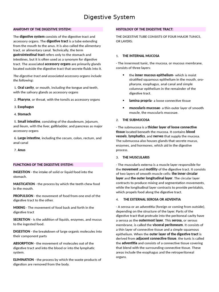 Digestive System | PDF