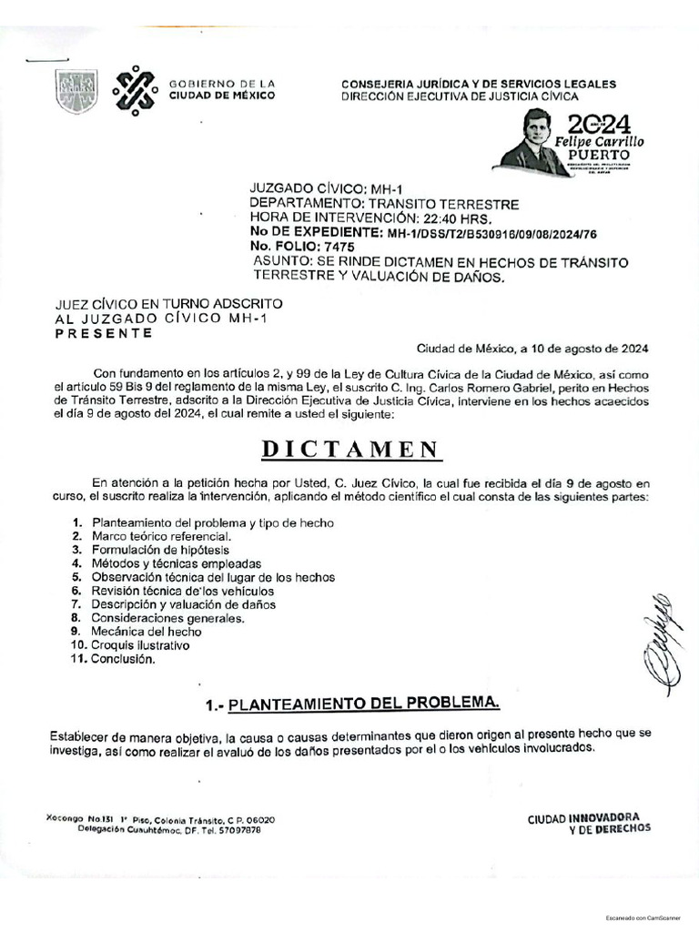 Dictamen Técnico | PDF