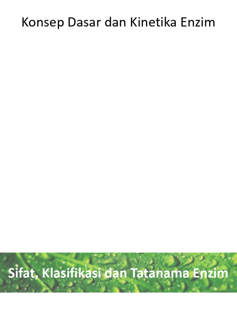Kinetika Enzim | PDF