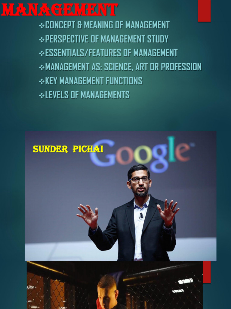 Business Studies - Chapter 1 | PDF