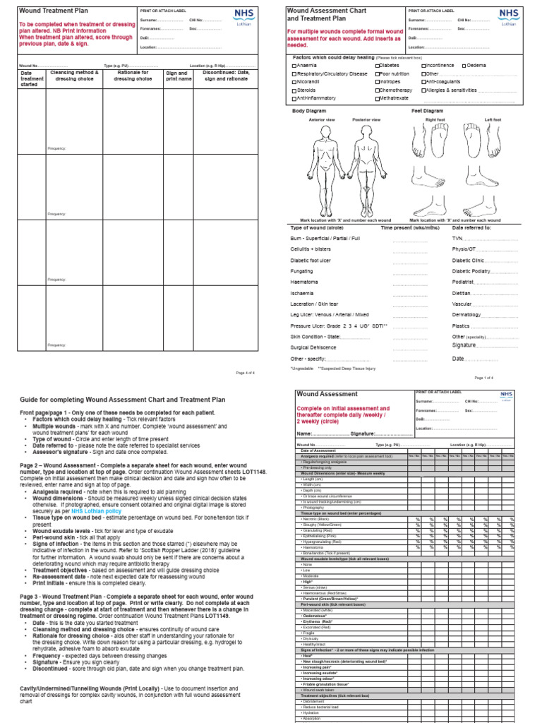 Tissue Viability Wound Assessment Chart and Treatment Plan | PDF ...