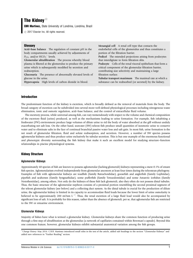MSC Zoology Fourth Semester | PDF | Kidney | Science & Mathematics