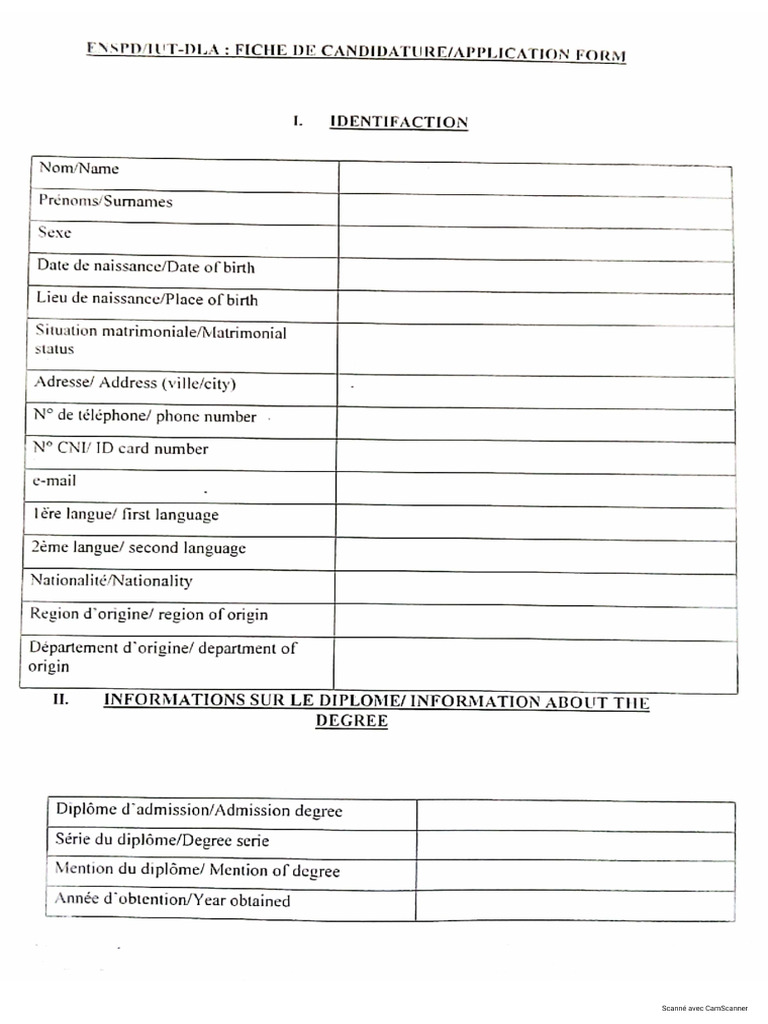 Fiche Candidature IUT | PDF