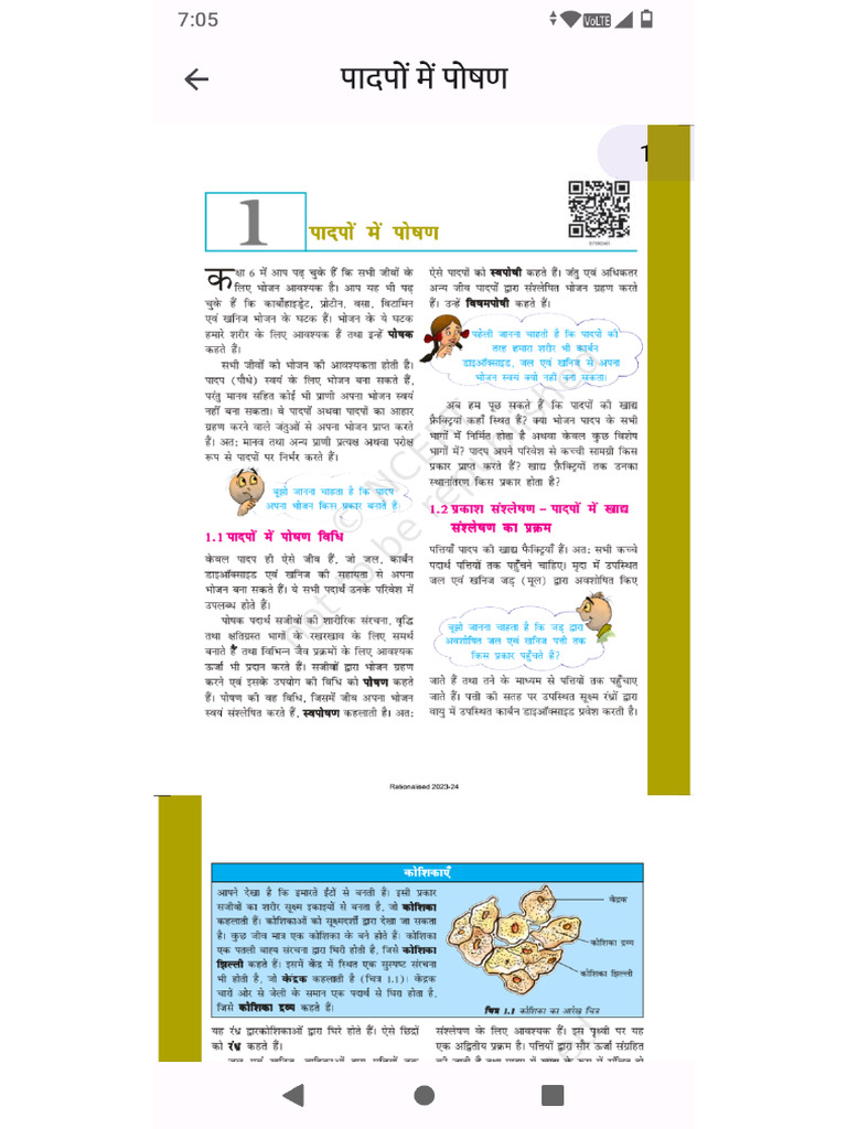 Gen 002 02062024 | PDF