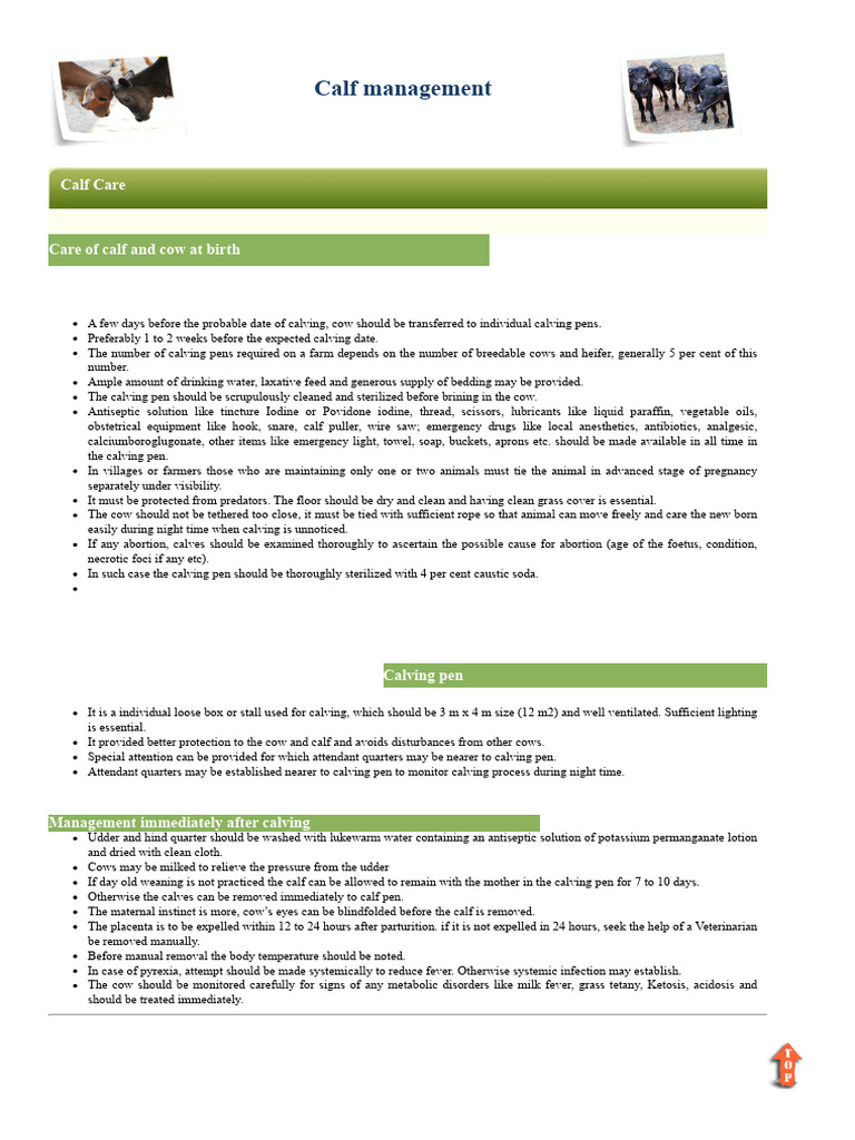 Calf Management | PDF