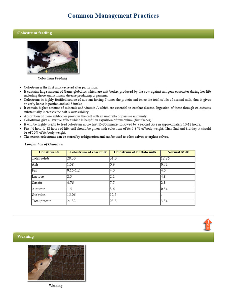 Common Management Practices | PDF