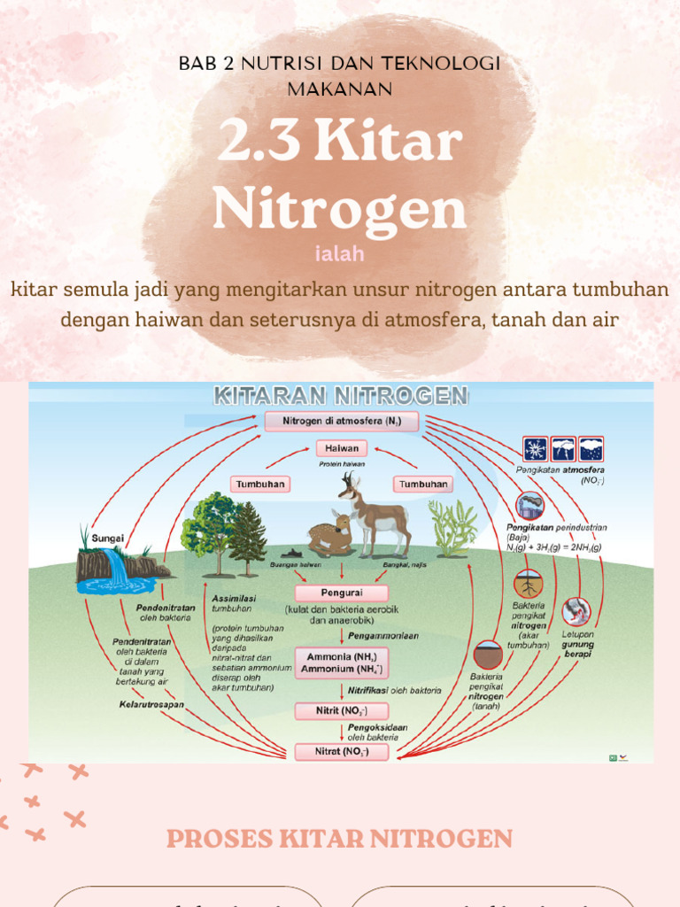 2.3 Kitar Nitrogen | PDF