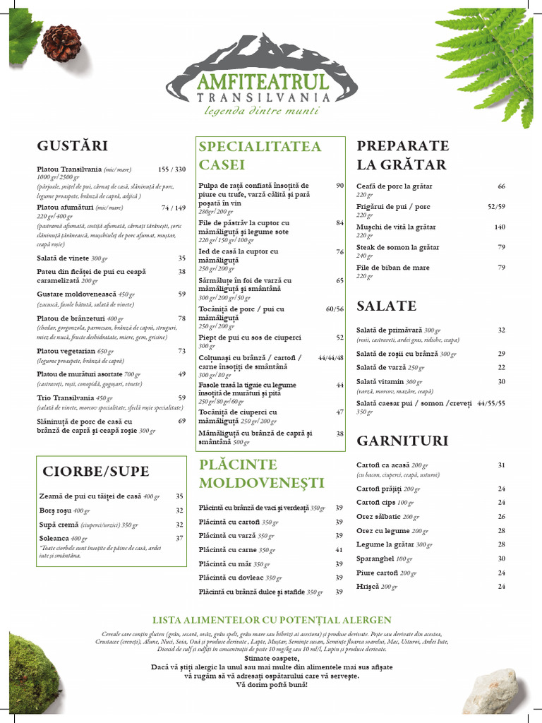 Meniu Mancare Amfiteatrul Transilvania PRINT | PDF