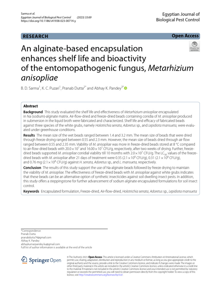 Alginate Encapsulation | PDF