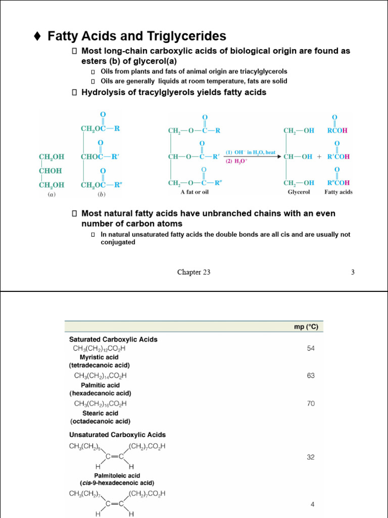 Lipid-2 | PDF