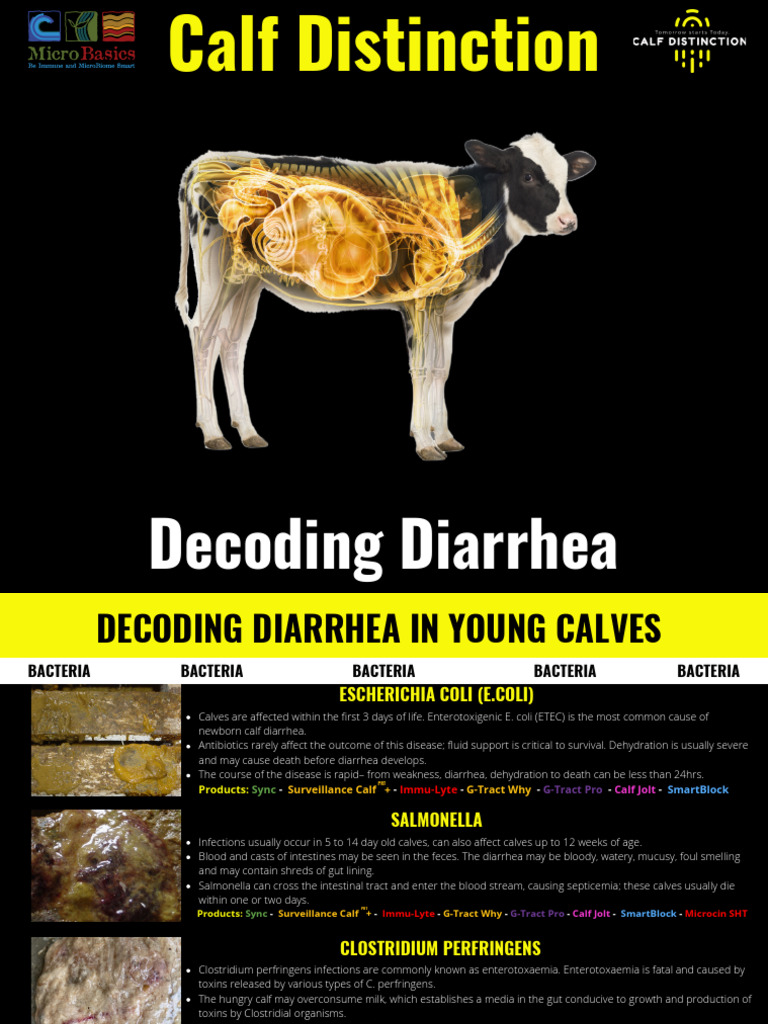 Decoding Diarrhea Brochure 2021 | PDF