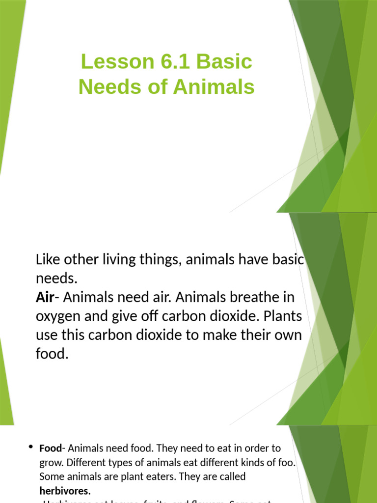 Lesson 6.1 Basic Needs of Animals | PDF