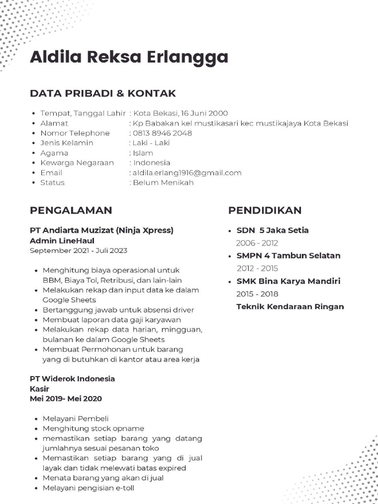 CV - Aldila Reksa Erlangga | PDF