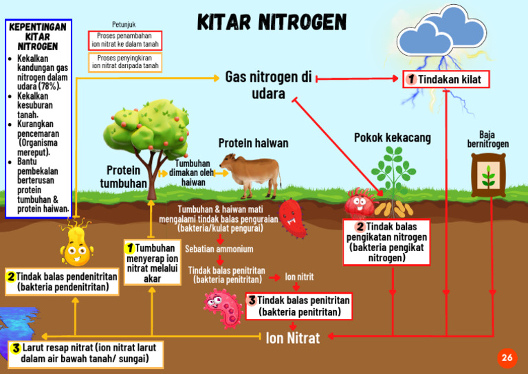 Kitar Nitrogen | PDF