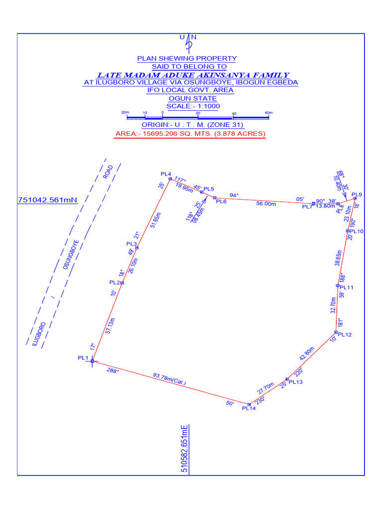 Madam Aduke-Model | PDF