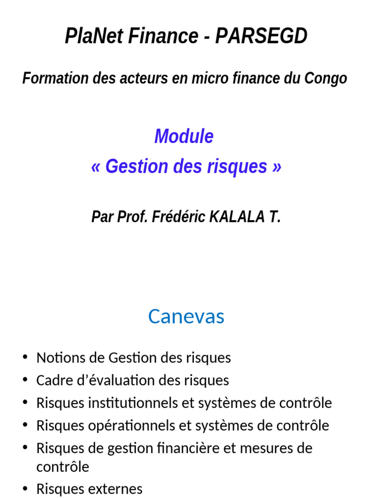 Gestion de Risques | PDF