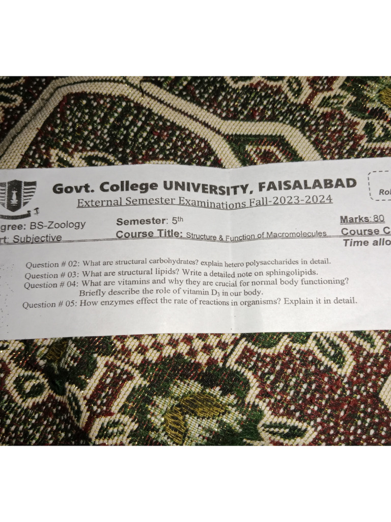 Question Paper Bs Zol 5 | PDF