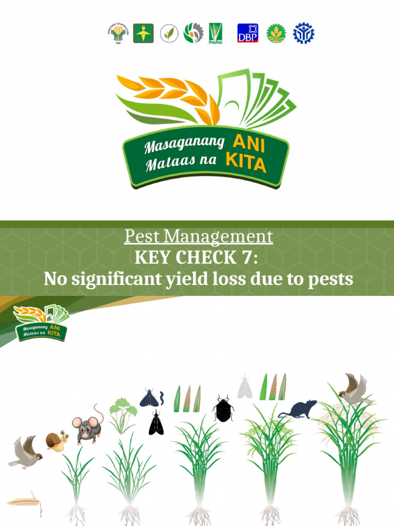 12 KeyCheck 7 | PDF