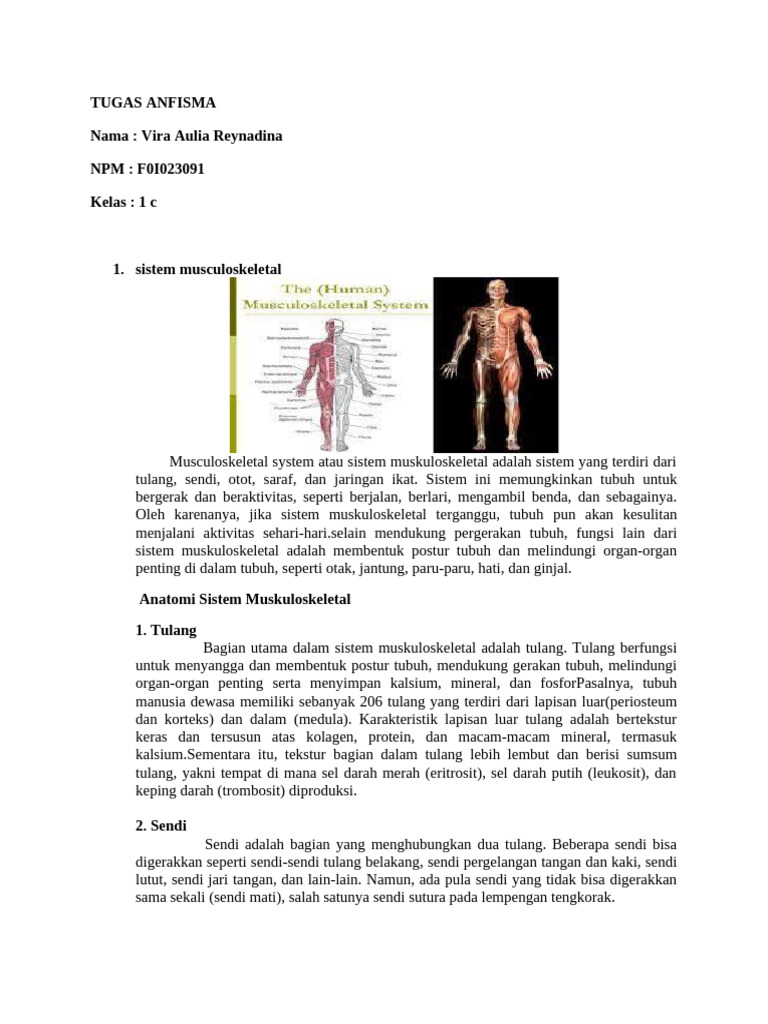 TUGAS ANFISMA Vira | PDF