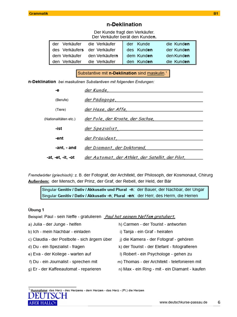 N Deklination | PDF