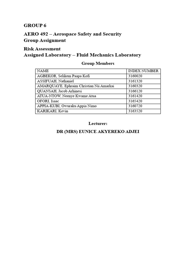 FLUID LAB Risk Assessment Edited | PDF