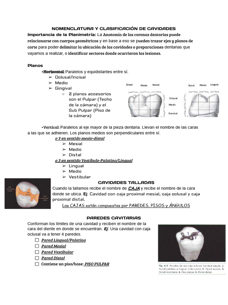Nomenclatura y Clasificación de Cavidades | PDF