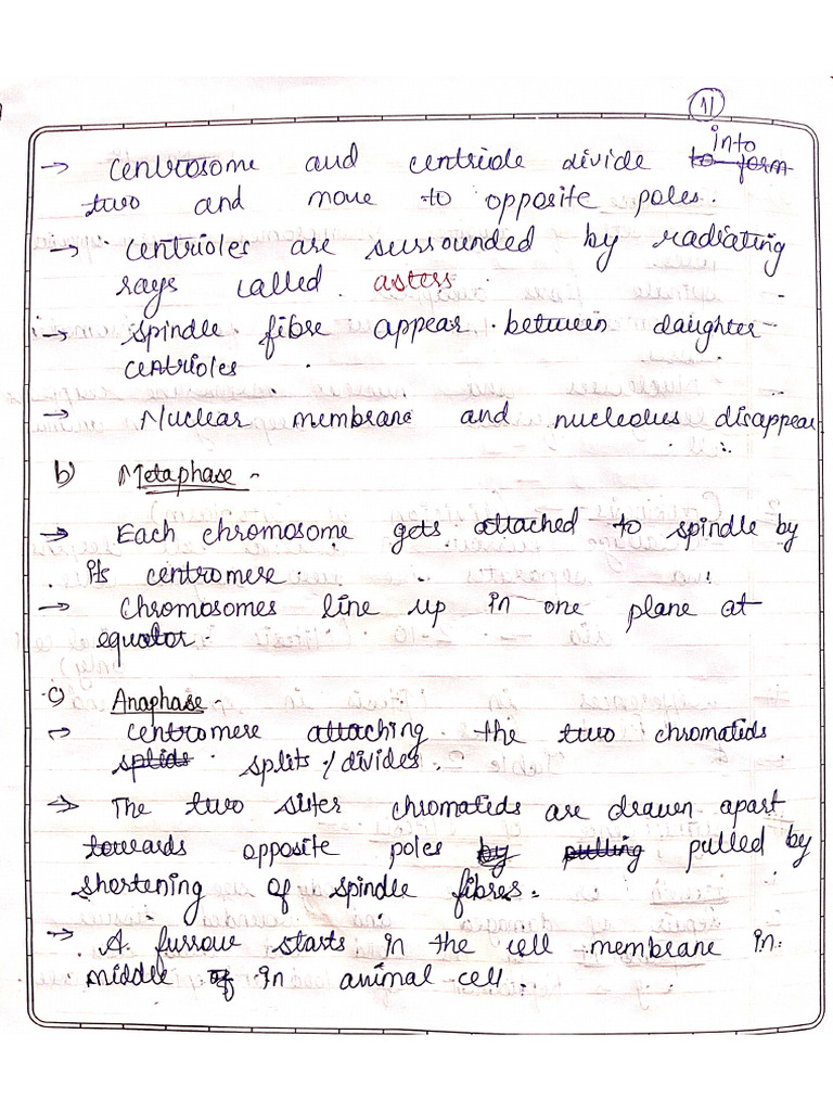 Chapter 2, Biology (02) | PDF