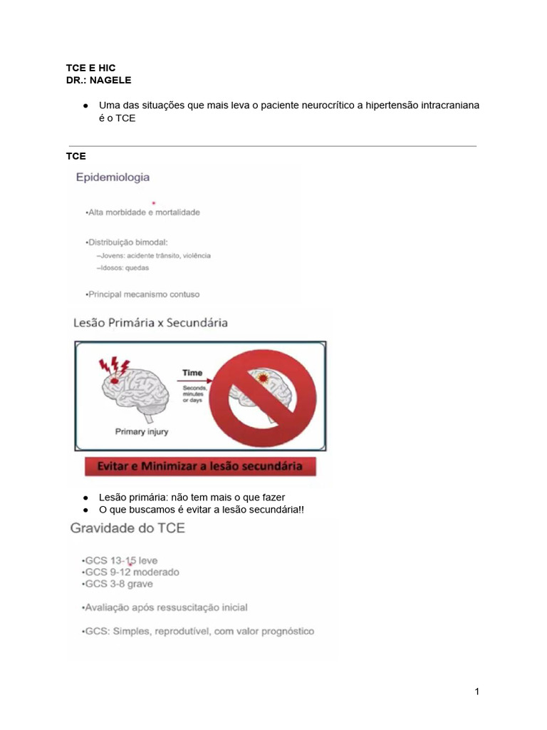 Intensiva Aula 3 - Tce e Hic | PDF