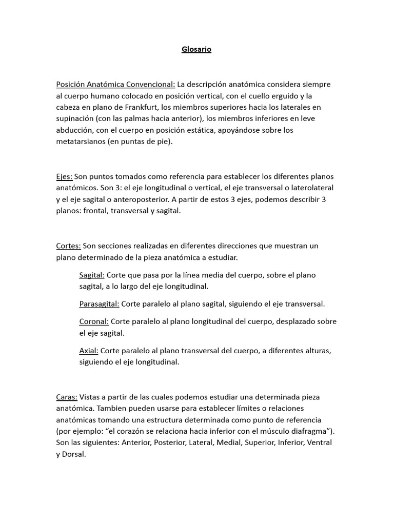 Glosario - Anato - Docx Filename - UTF-8 - Glosario Anato | PDF