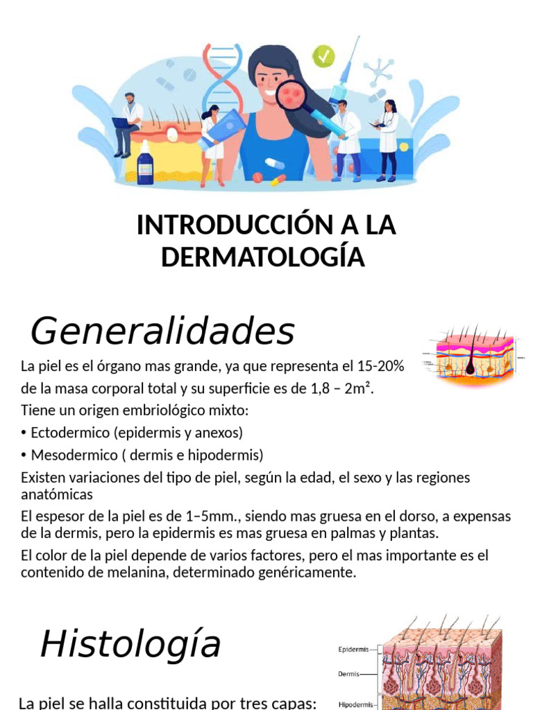 Introduccion Dermato | PDF