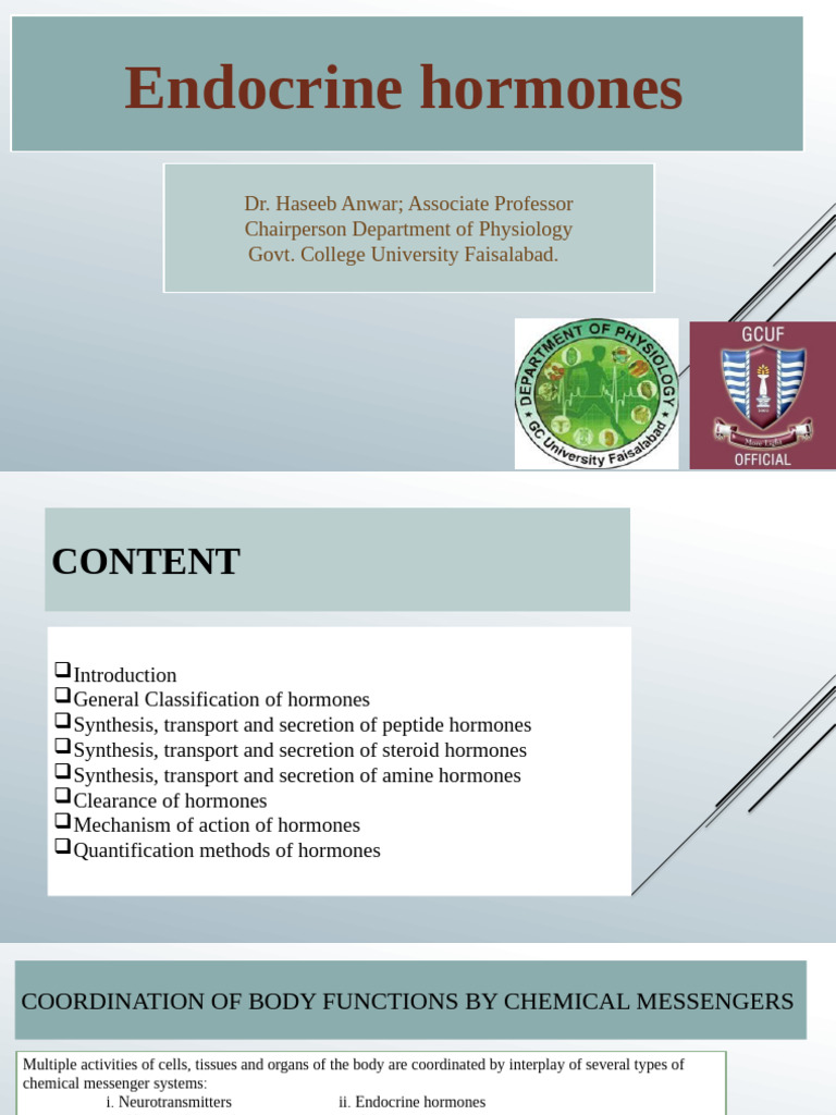 Endocrine Hormones - Intro 2022-23 | PDF