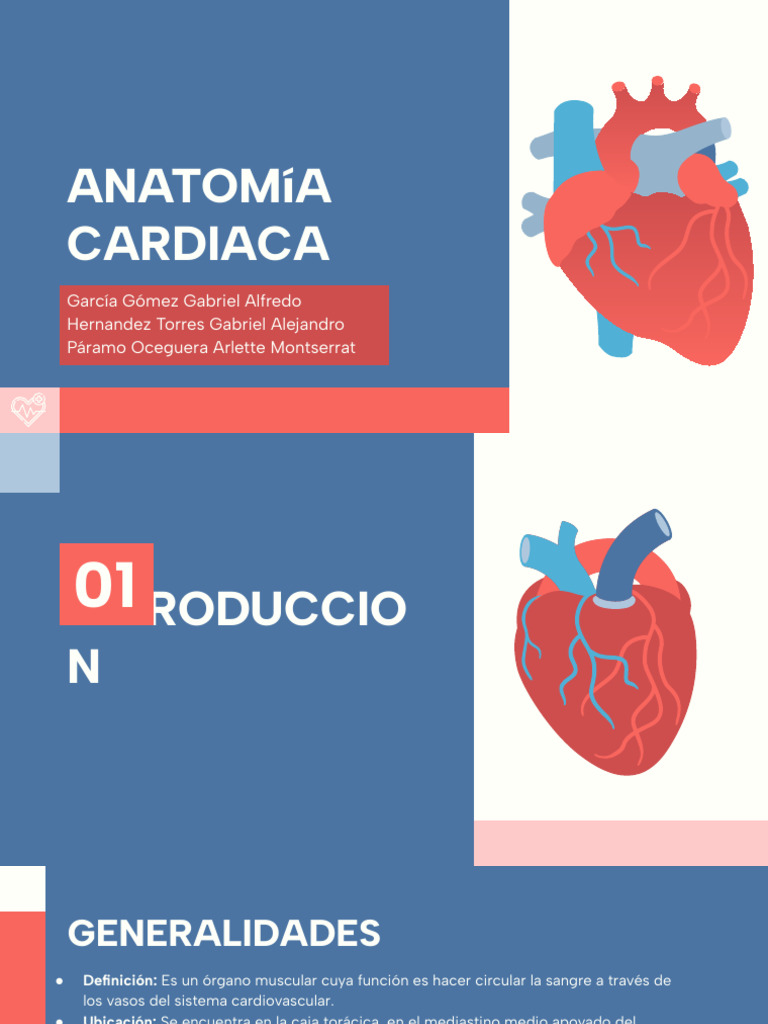Anatomia Corazon | PDF
