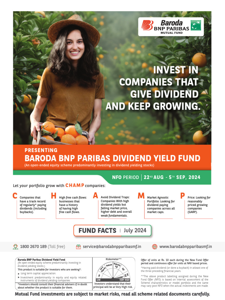 BBNPP MF Fund Facts - July 2024 8146 | PDF