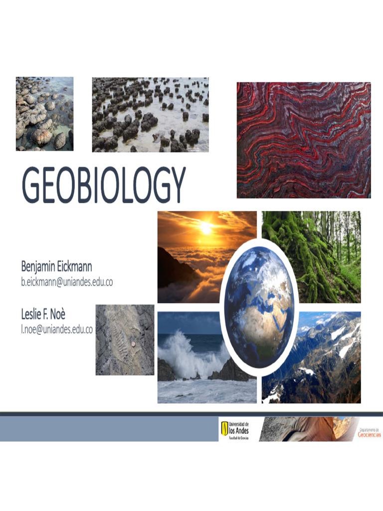 07 Sulfur Isotopes | PDF