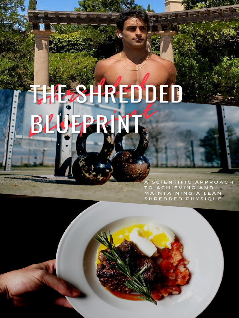 The Shredded Blueprint | PDF