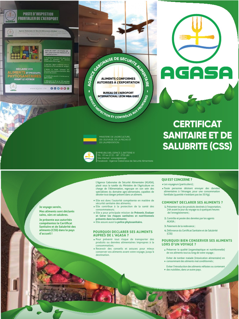 CERTIFICAT SANITAIRE DE SALUBRITE Compressé | PDF