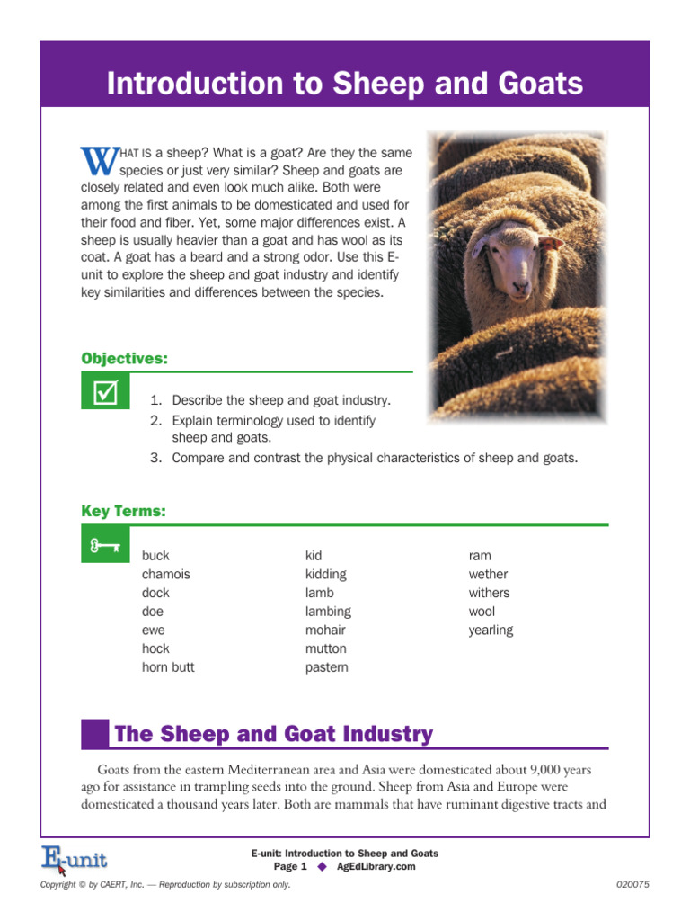 Introduction to Sheep and Goats | PDF