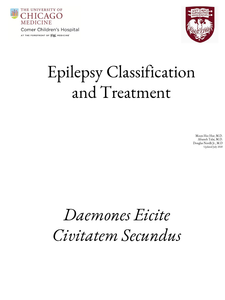 Epilepsy Classification And Treatment Pdf