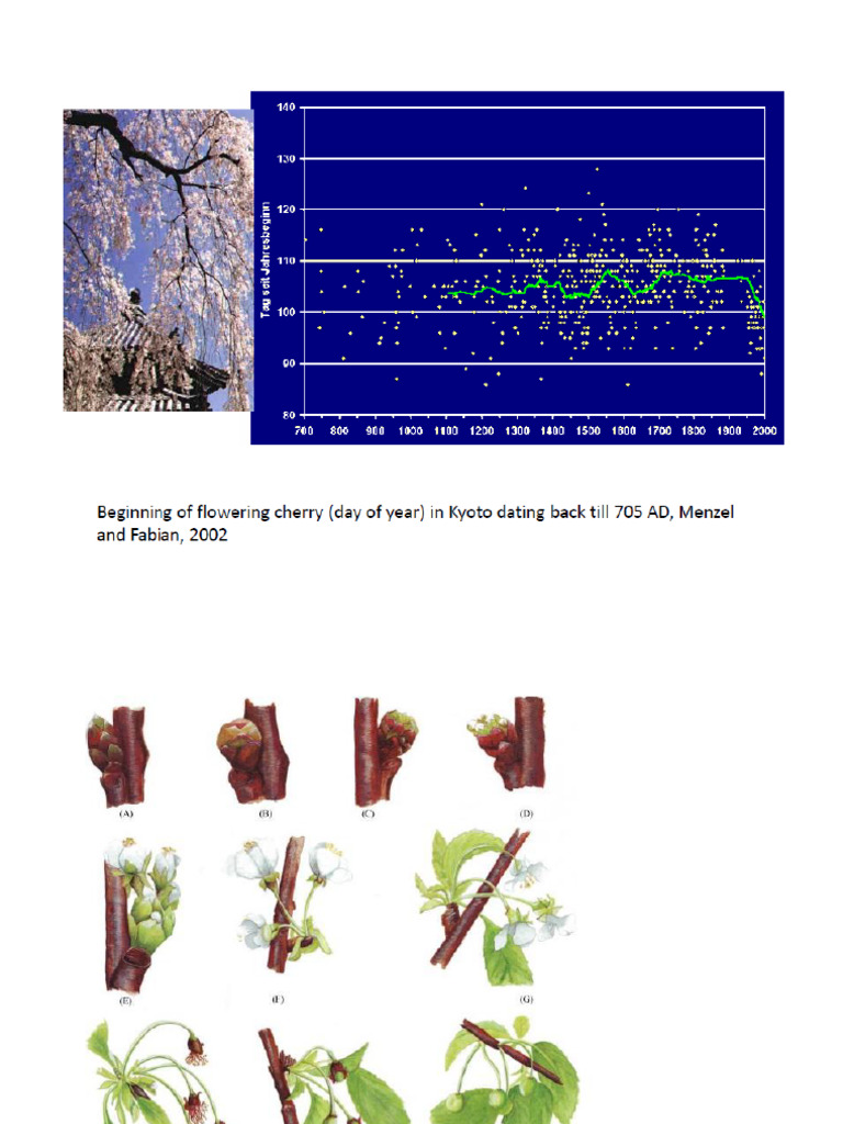 BBCH | PDF