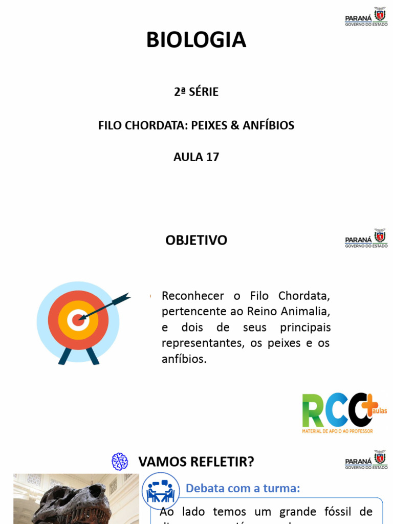 FILO CHORDATA 2a Serie 2024 | PDF