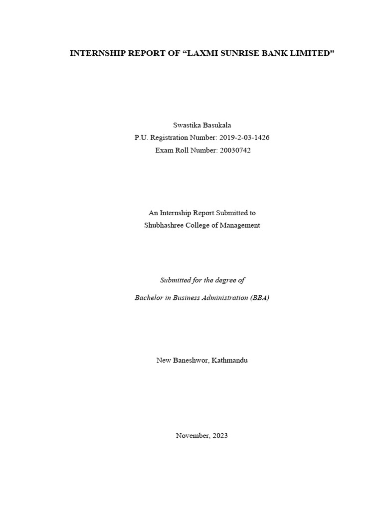 Final Intern Report | PDF