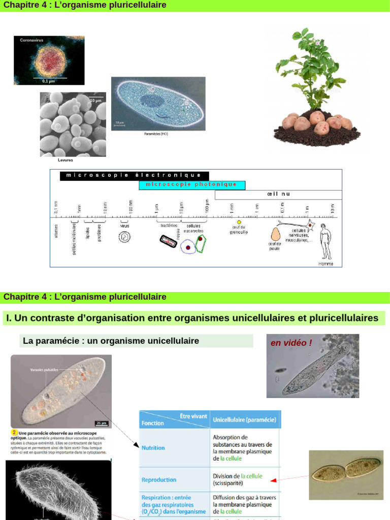 Diaporama Cours Chapitre4 | PDF