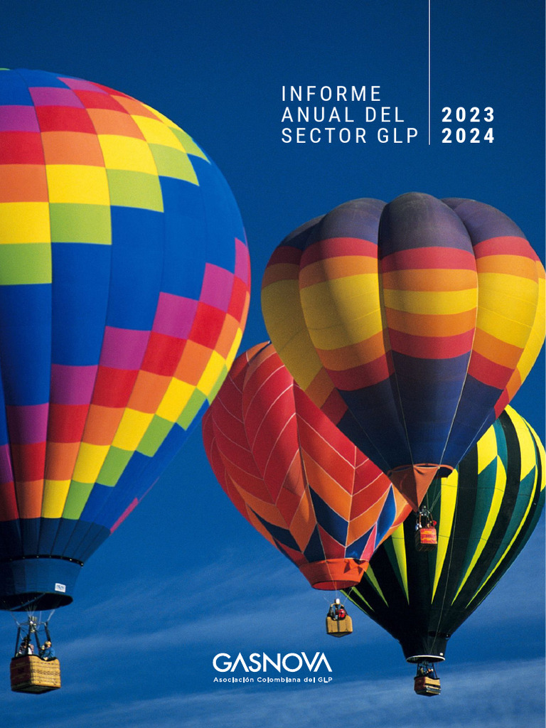 Informe Anual Del GLP 2023 - 2024 | PDF
