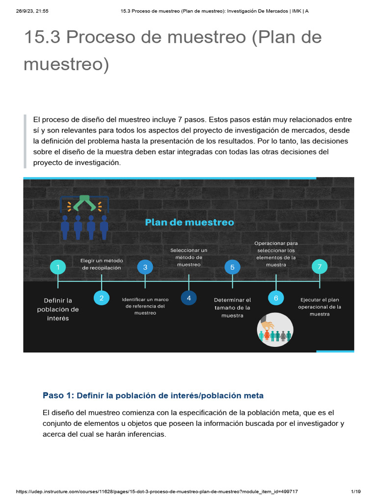 Proceso de Muestreo (Plan de Muestreo) | PDF
